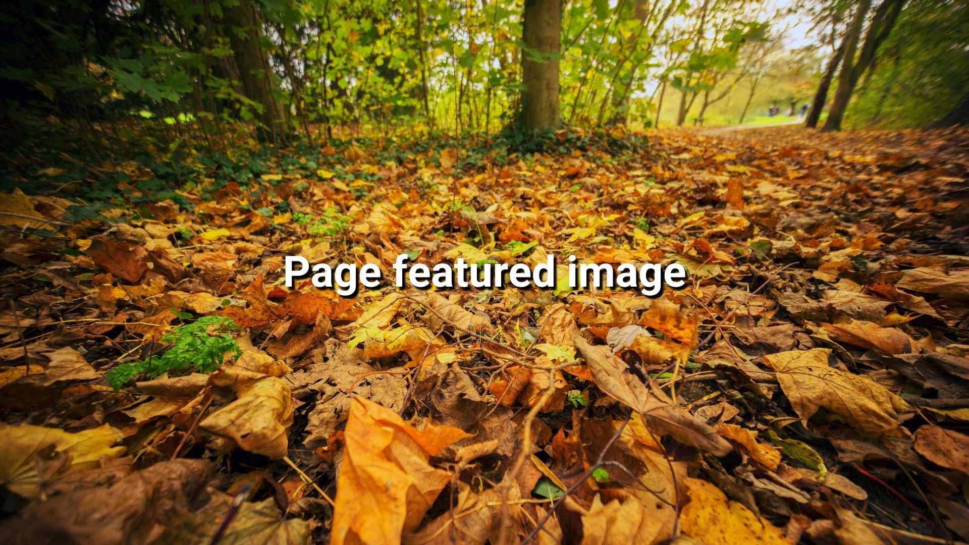 A Page Template - Zerodig.earth